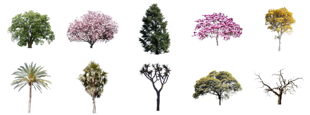 Árvores 2D – cutouts [ArchiCAD] – KiloBIM